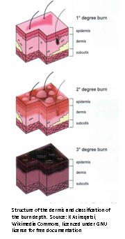 Guidelines For Use – Ligamed